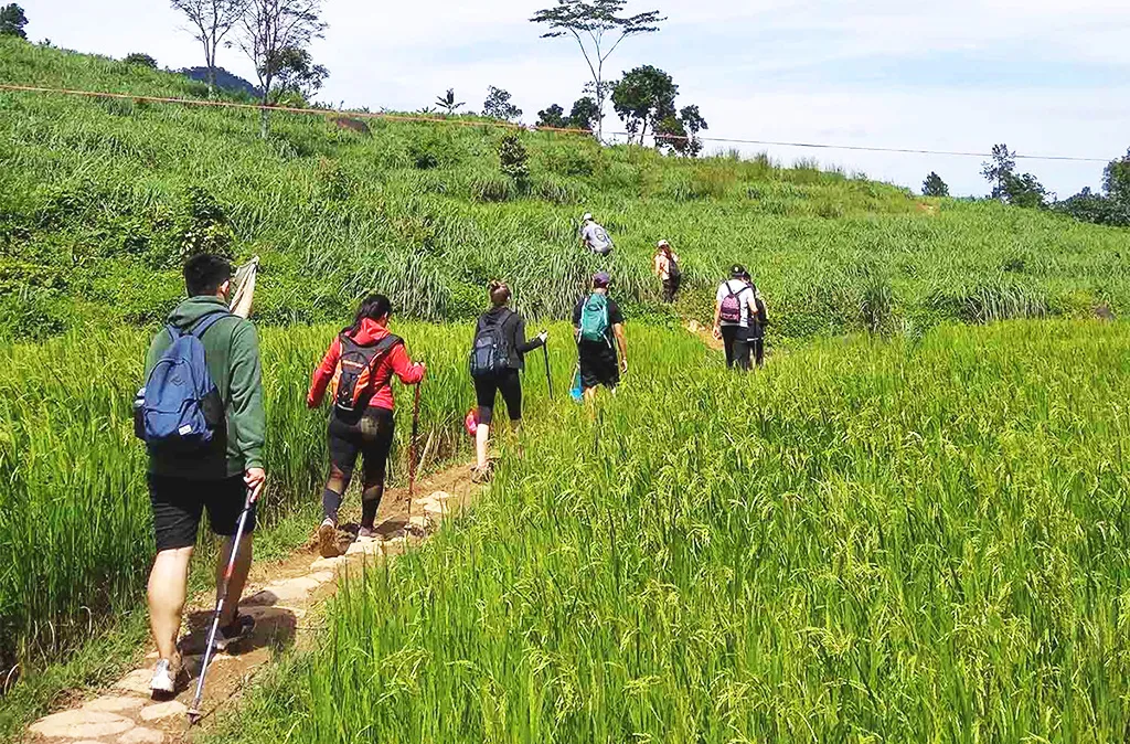 Tourkomodo - Sentul Nature Trekking